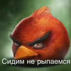 DoomsDay Client - Лучший бесплатный Ghost-клиент чит на Майнкрафт